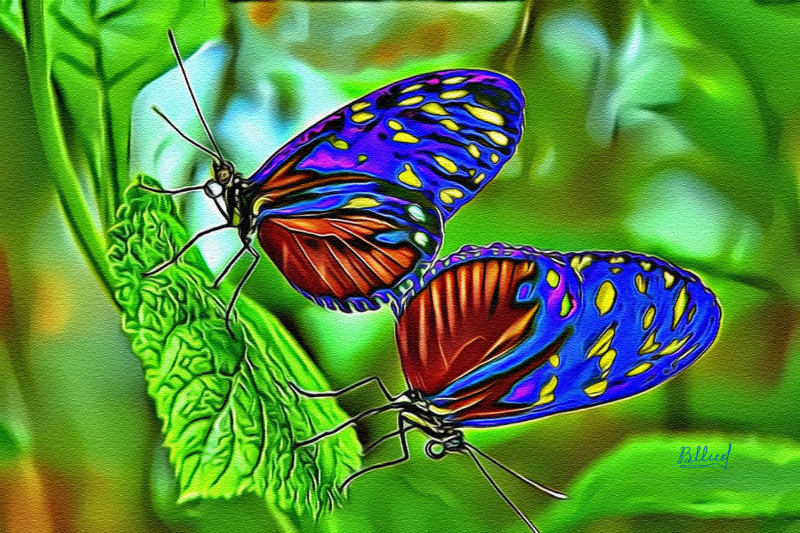 Vasilij Mischenko - Бабочки 003, XXI, 60×40 см: Описание произведения | Артхив